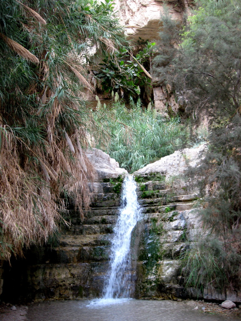 Pictures & Passages (Israel) | Blog of Joy